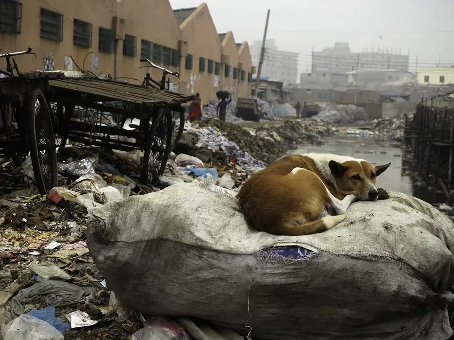 Bangladesh: Toxic Tanneries | Pulitzer Center