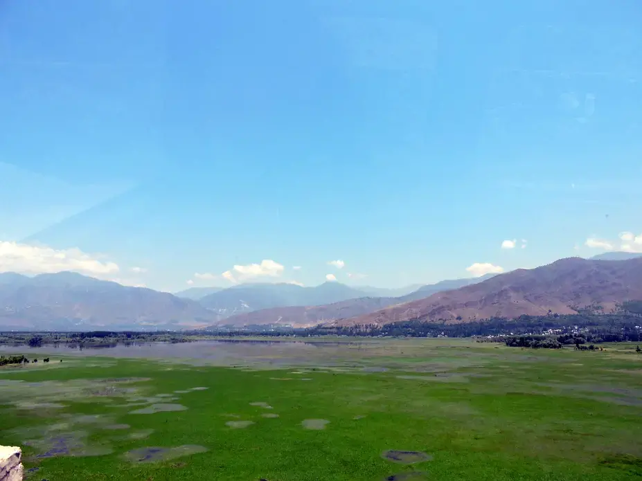 Kashmir’s Water Bodies: Lives, Weeds, and Pollution | Pulitzer Center
