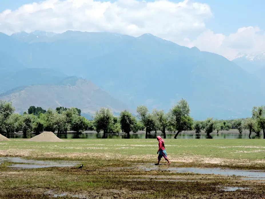 Kashmir: The Decline of Wular Lake | Pulitzer Center