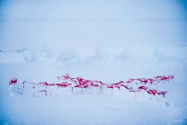 Arctic Passage | Pulitzer Center