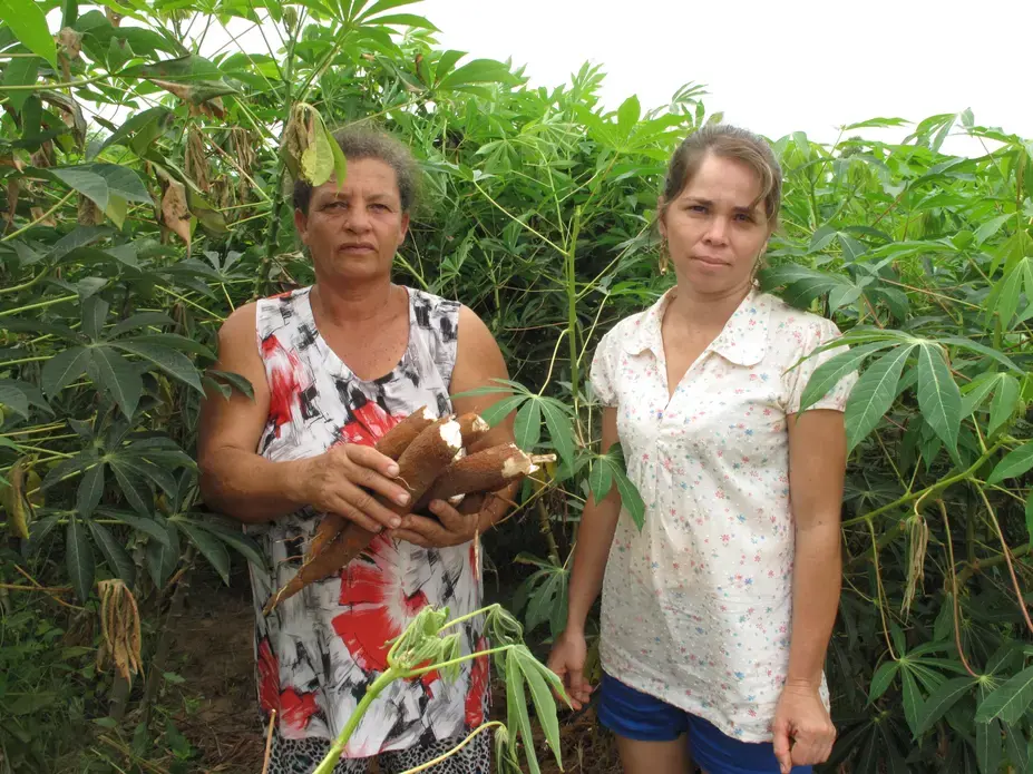 Meeting Brazil's Family Farmers | Pulitzer Center