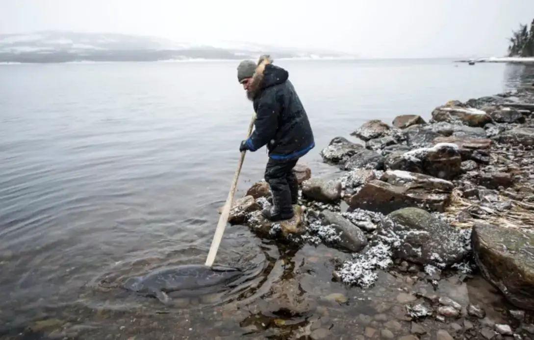 In an Isolated Inuit Community, Concern Is Strong Over Water Toxins ...