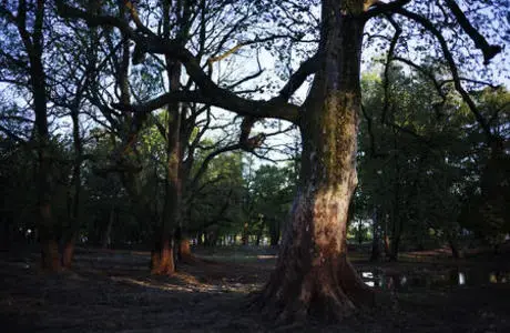 Recovering from the Red Flood | Pulitzer Center