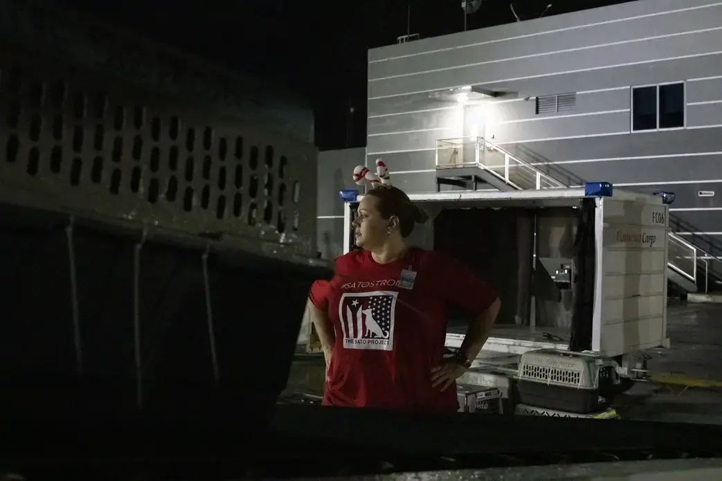 No Dogs Left Behind: The SATO Project in Puerto Rico | Pulitzer Center