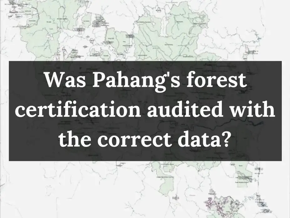 Navigating the Multiverse of Forest Data | Pulitzer Center
