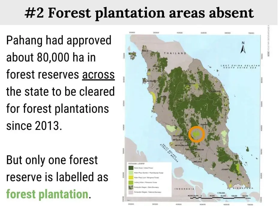 Navigating the Multiverse of Forest Data | Pulitzer Center