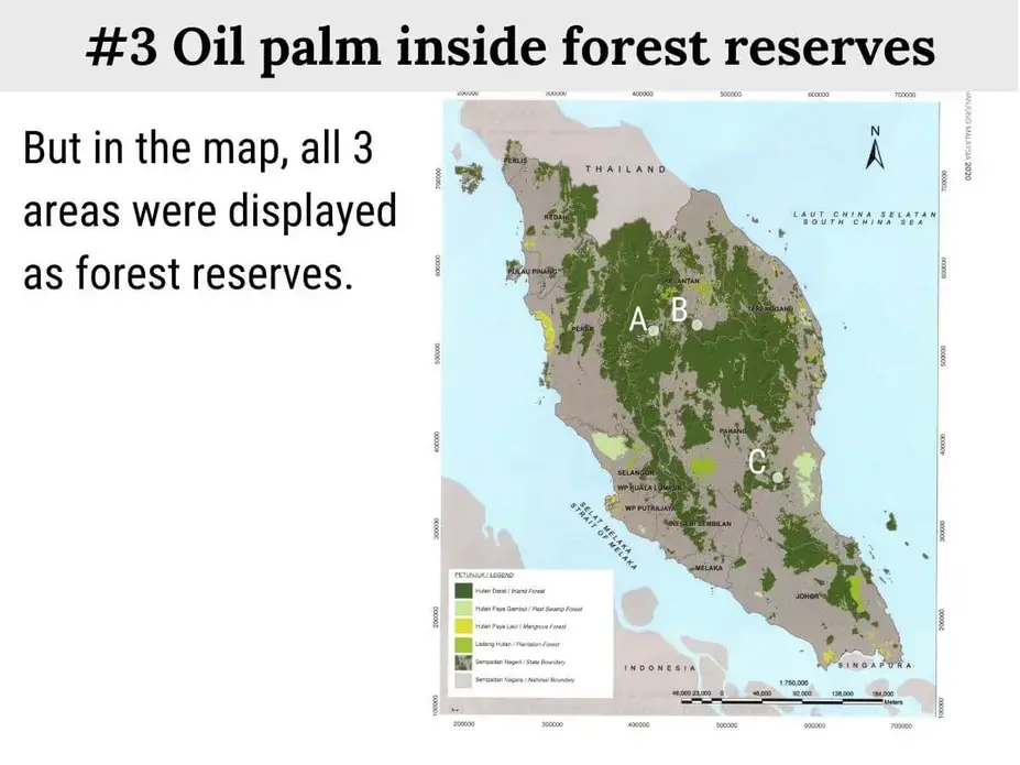 Navigating the Multiverse of Forest Data | Pulitzer Center