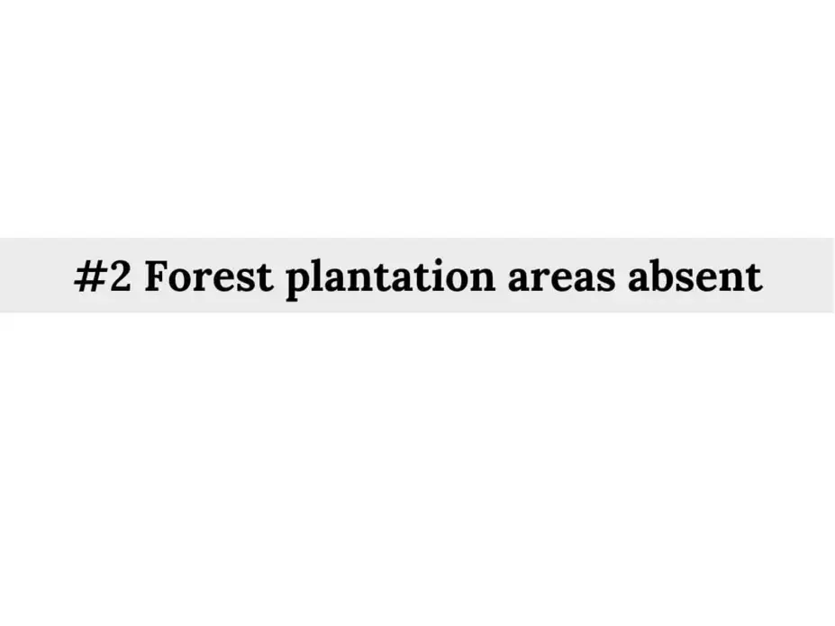 Navigating the Multiverse of Forest Data | Pulitzer Center