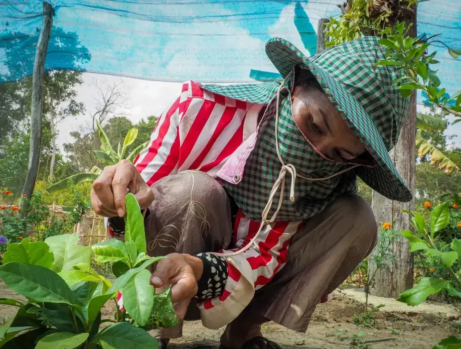 Grassroots Activists Work to Save Remaining Cardamom Mountains Rainforest | Pulitzer Center