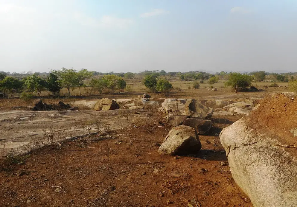 Save The Sarnas | Pulitzer Center