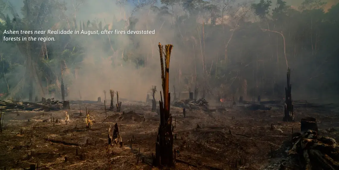 The Amazon Rainforest Is Nearly Gone. We Went to the Front Lines to See ...