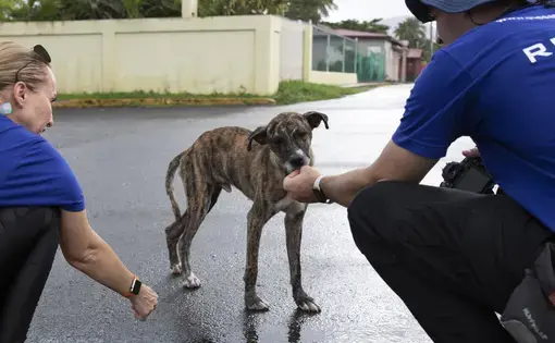 Found Family: LGBTQ+ Immigrants Create Community Through Shared ...