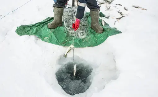 Dene-Hern Chen | Pulitzer Center