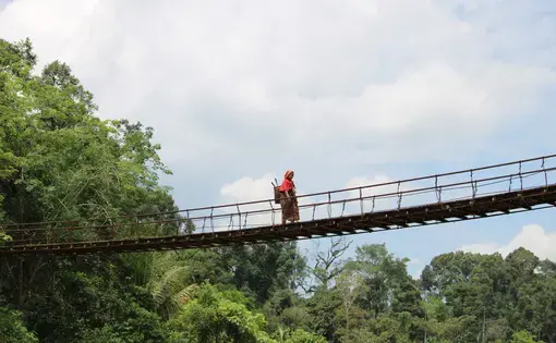 Unlicensed Gold Mining in Sumatran Indigenous Forests (bahasa Indonesia ...