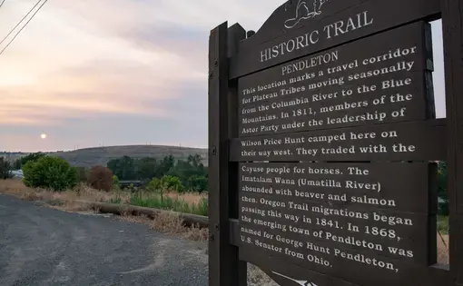 Leanne Tippett Mosby | Pulitzer Center