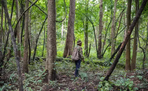 Mark Cheong | Pulitzer Center