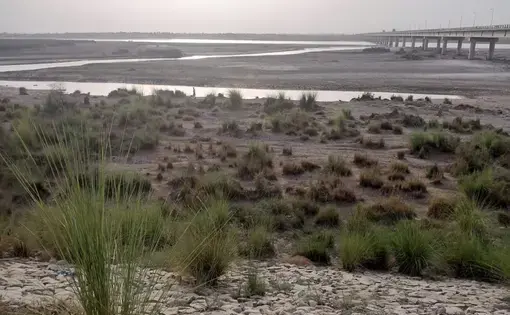 Syeda Sana Batool | Pulitzer Center