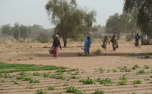 Bobby Bascomb | Pulitzer Center