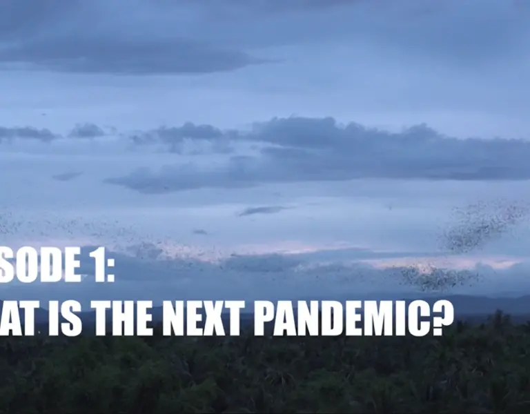 The Next Pandemic: What Will It Be? | Pulitzer Center