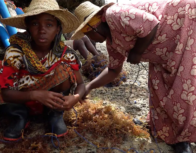 Meet the Journalist: Haley Joelle Ott | Pulitzer Center