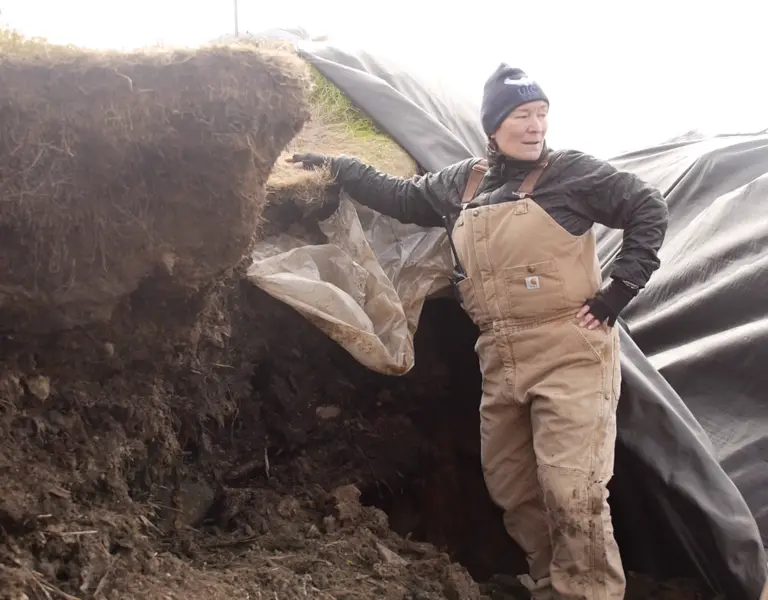 History is Melting: How Climate Change Is Destroying Arctic ...