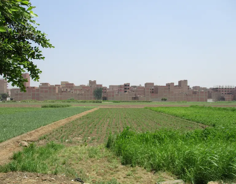 Egypt's Deadly Infrastructure | Pulitzer Center