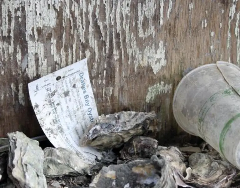 William & Mary 2014-2015 Sharp Reporting Projects | Pulitzer Center