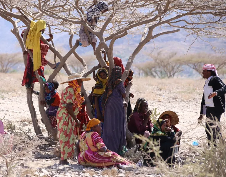 'Working in the Shadows,' Iona Craig Reflects While Reporting in Yemen ...