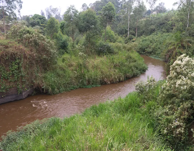 Land Deals Threaten to Impair River Nile | Pulitzer Center