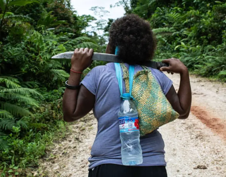 Machetes in Hand, Women Join Forces to Fight Logging in Solomon Islands ...