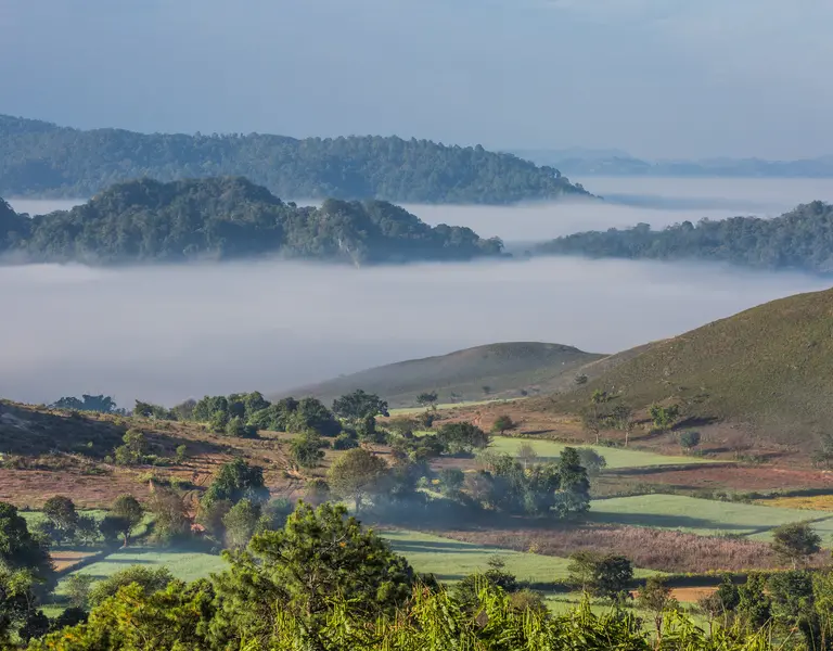 ‘They're Fearless’: The Women Battling to Free Myanmar From Meth ...