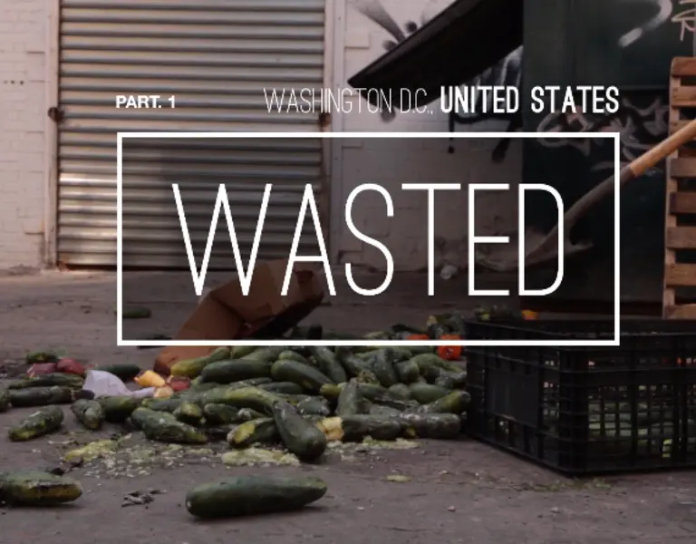 The Big Waste: Why Do We Throw Away So Much Food? | Pulitzer Center
