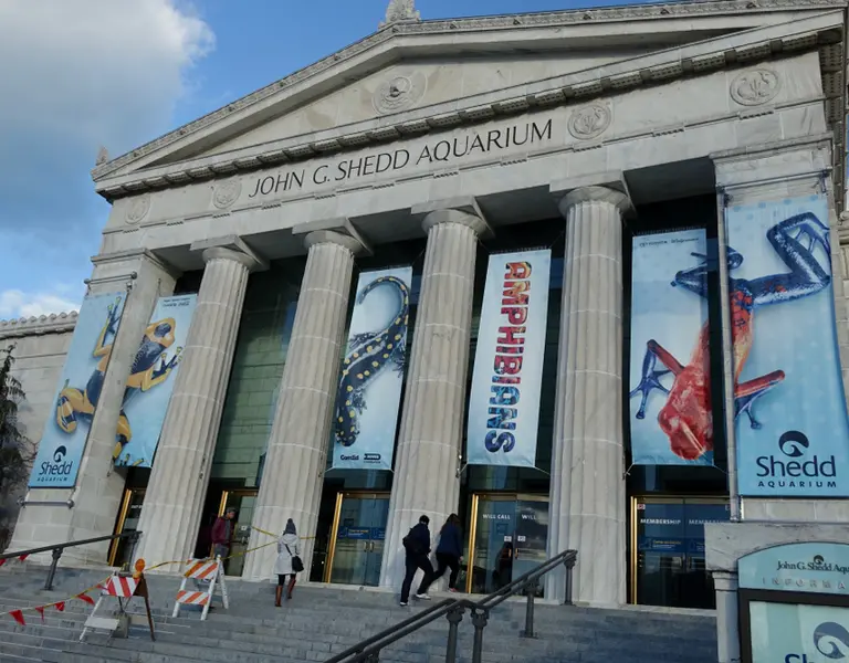 What Lies in the COVID-19 Future for Museums? | Pulitzer Center