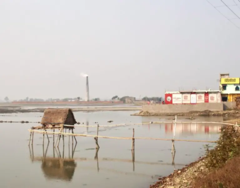 Salt-Tolerant Rice, Innovations Help Farmers Deal With Salinity in the ...
