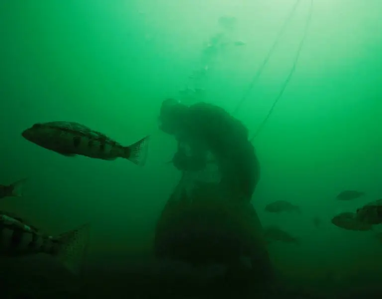 Mexico: Emptying the World’s Aquarium | Pulitzer Center