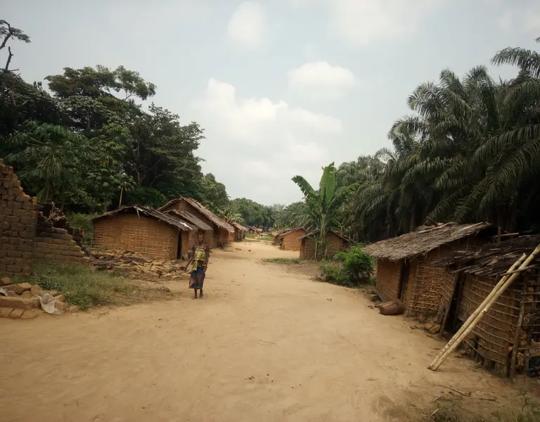 The Economic Impact of Deforestation on Community Livelihoods ...