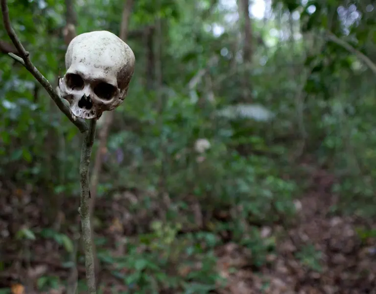 Stories from the Dangerous Darien Gap | Pulitzer Center