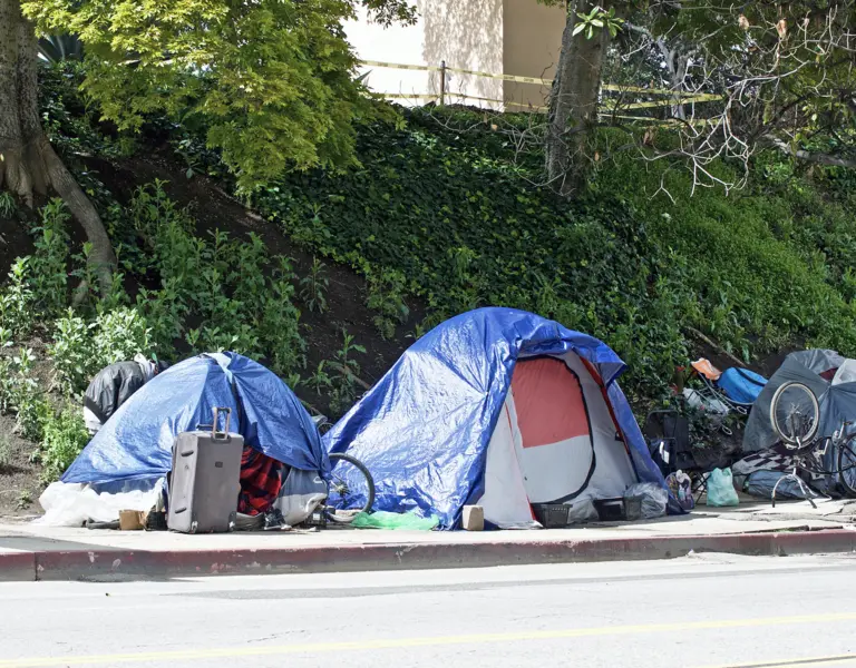 Homeless in 43 Counties Most Vulnerable To COVID-19 | Pulitzer Center