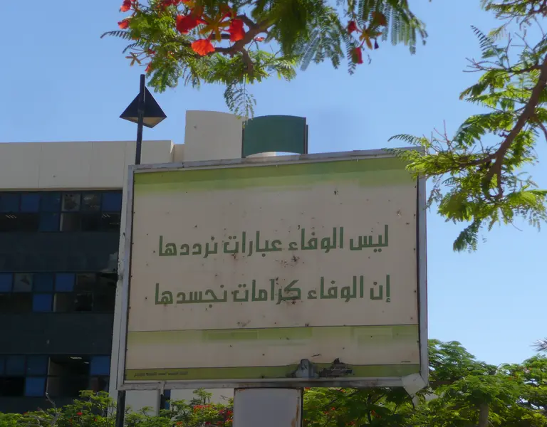 Libya’s Opposition: Where Green Refuses to Fade | Pulitzer Center