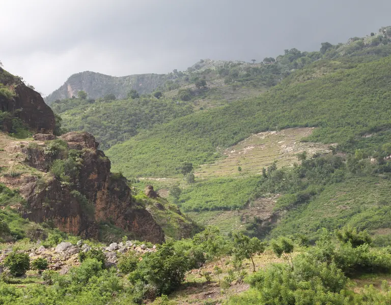 In Haiti, Deforestation Paves the Road to Catastrophe | Pulitzer Center