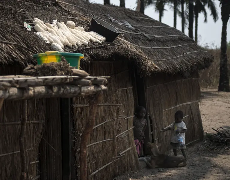 Democratic Republic of Congo: Cassava and Konzo, the Crippling Disease ...