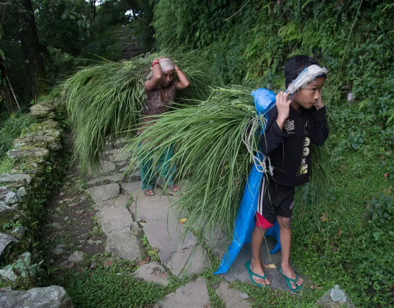 Nepali Mass Migration: What's Left Behind | Pulitzer Center