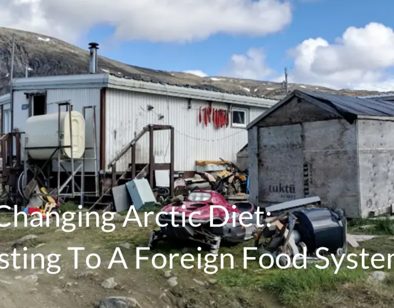 The Changing Arctic Diet: Adjusting to a Foreign Food System | Pulitzer ...