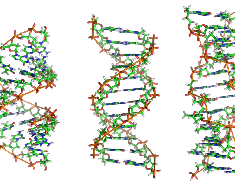 Deaf Couple May Edit Embryo’s DNA to Correct Hearing Mutation ...