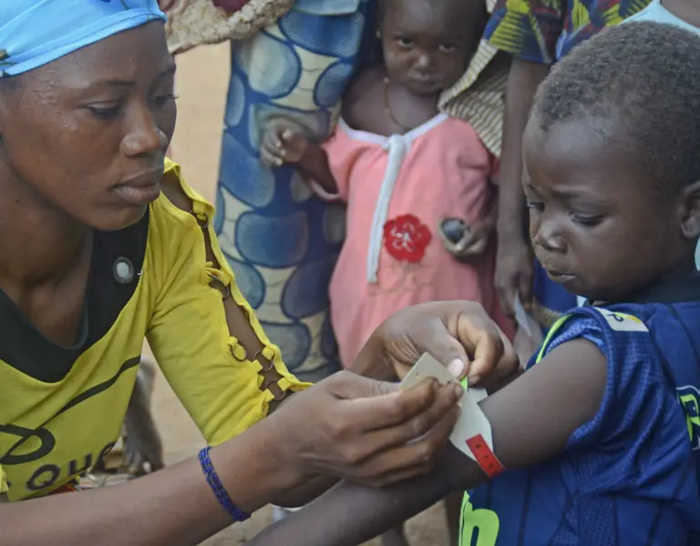Annals of Mali's Malaria War: Move over Angelina Jolie | Pulitzer Center