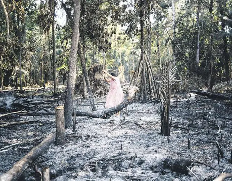 The Chiman Forest in Bolivia | Pulitzer Center