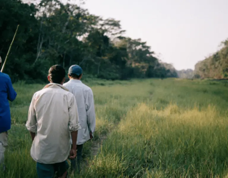The Chimane of Maraca'tunsi and Their Stolen Holy Mount (Spanish ...