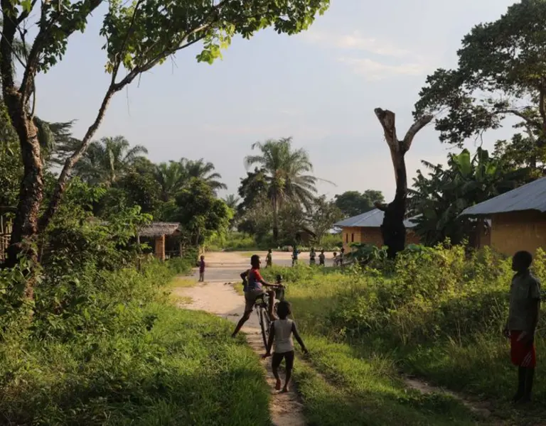 The bold plan to save Africa's largest forest | Pulitzer Center