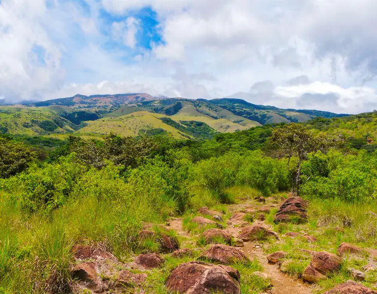 Living Planet: Capturing Carbon in Costa Rica | Pulitzer Center