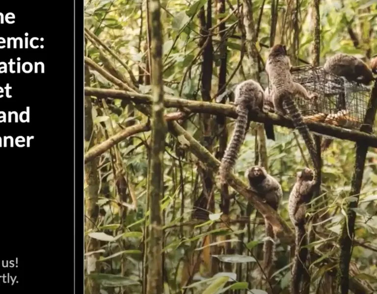 Stopping the Next Pandemic: In Conversation with Harriet Constable and ...